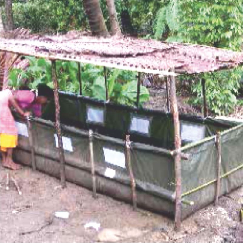 Hifazat Tarpaulins – Always Covered With Excellent Quality